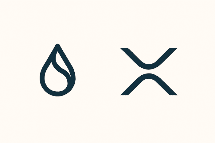 Sui (SUI) - Securities.io
