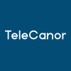 Telecanor Global Limited - PE Ratio