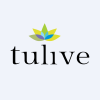 Tulive Developers Limited - Enterprise Value